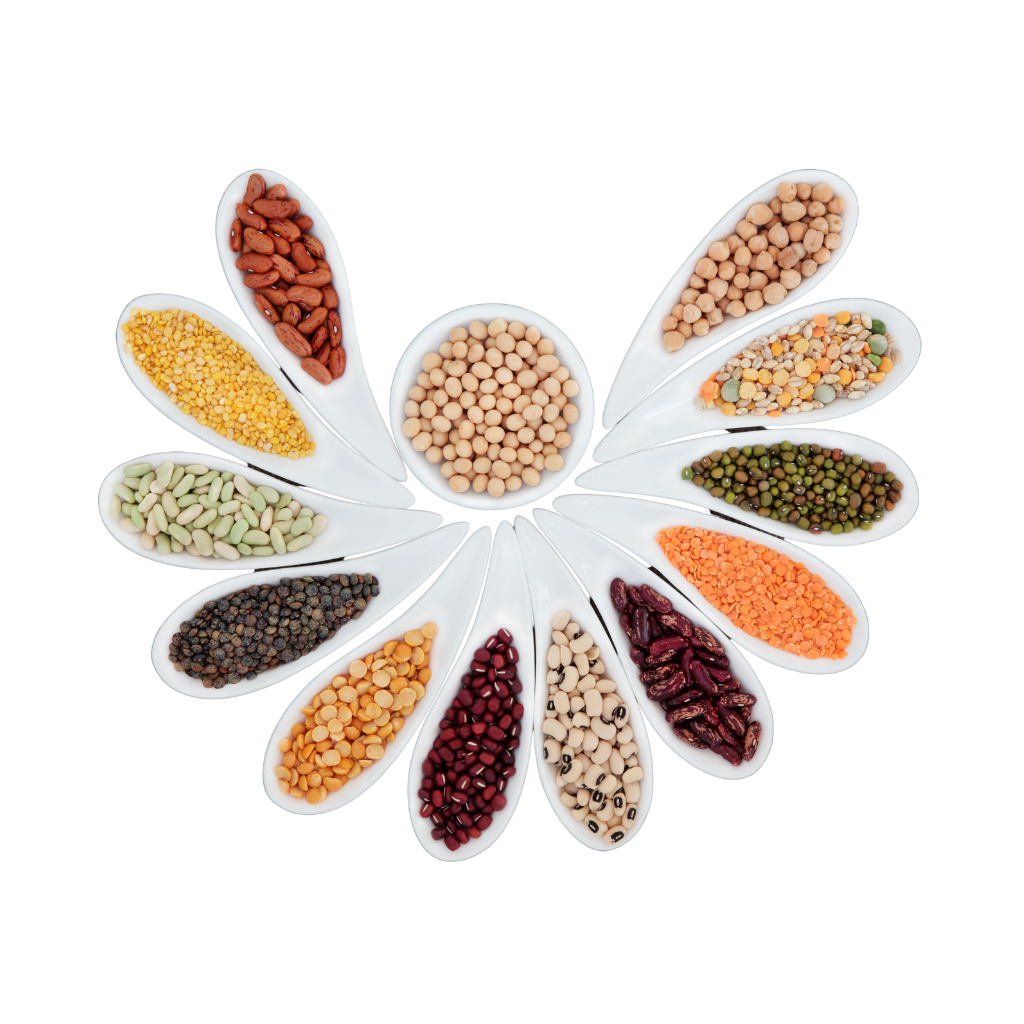Pulses – Grand Indian Store