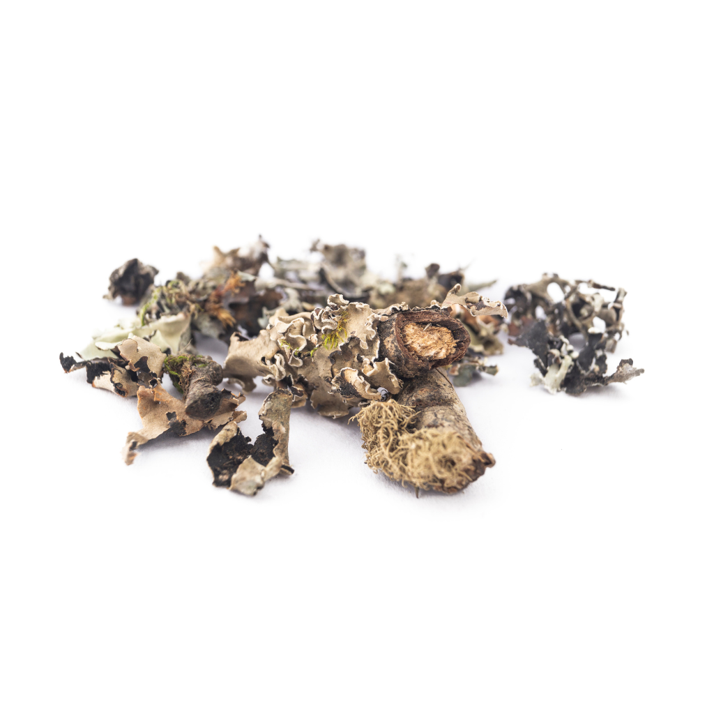 Stone Flower (Kalpasi) – Grand Indian Store